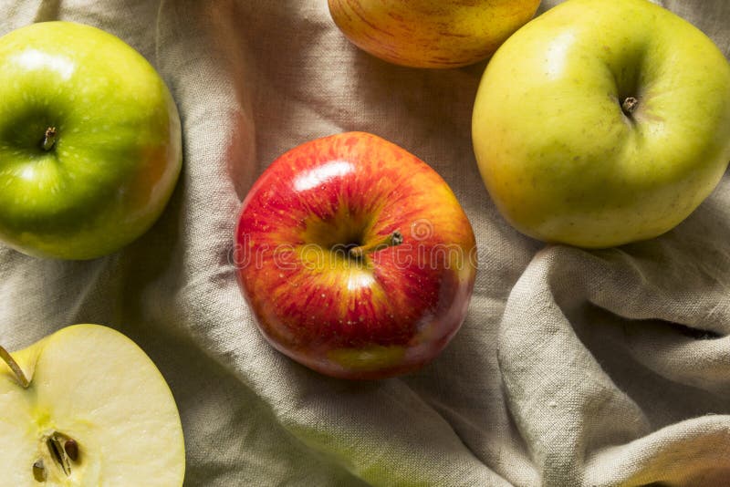 Raw Organic Assorted Apples Stock Photo - Image of juicy, healthy ...