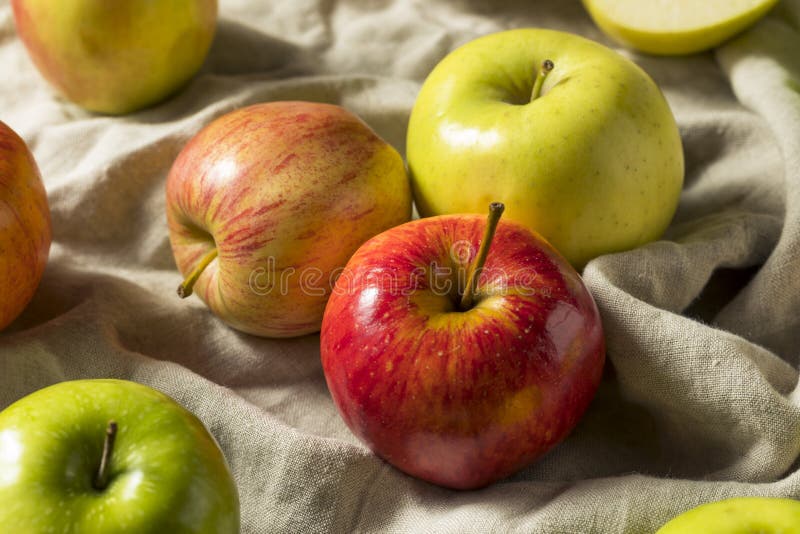 Raw Organic Assorted Apples Stock Photo - Image of apples, bunch: 124489820