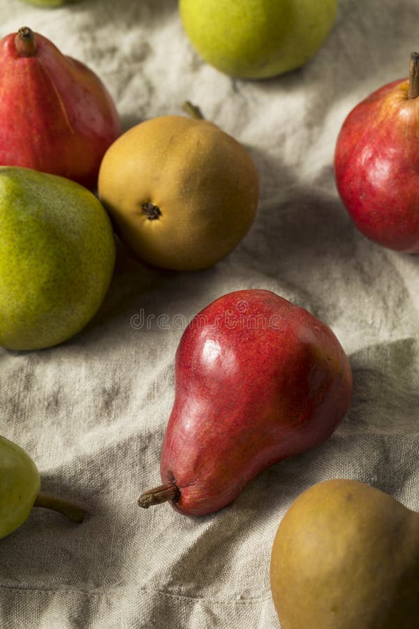 Raw Organic Assorted Pears stock photo. Image of organic - 125034176