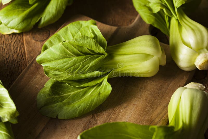 Raw Organic Baby Bok Choy stock photo. Image of healthy - 46523894