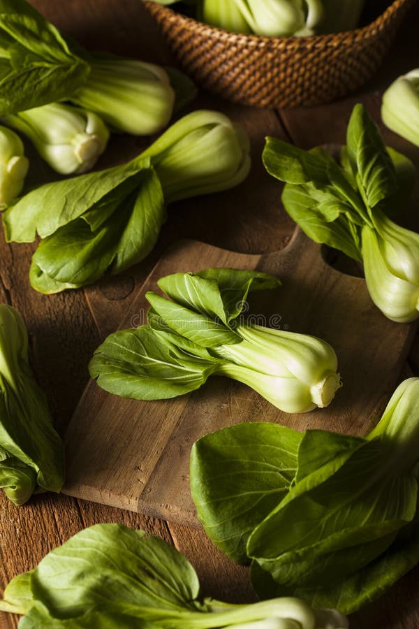 Raw Organic Baby Bok Choy stock image. Image of tasty - 46523961