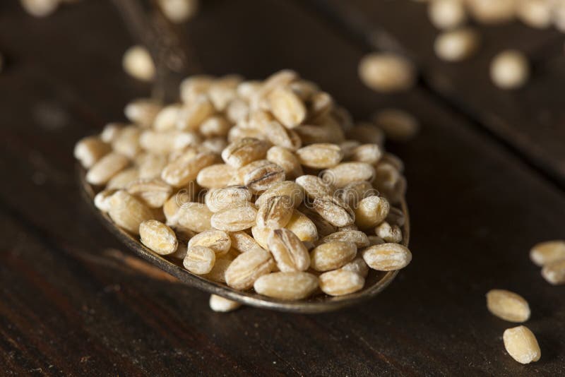 Raw Organic Barley Grain stock photo. Image of field - 47265968