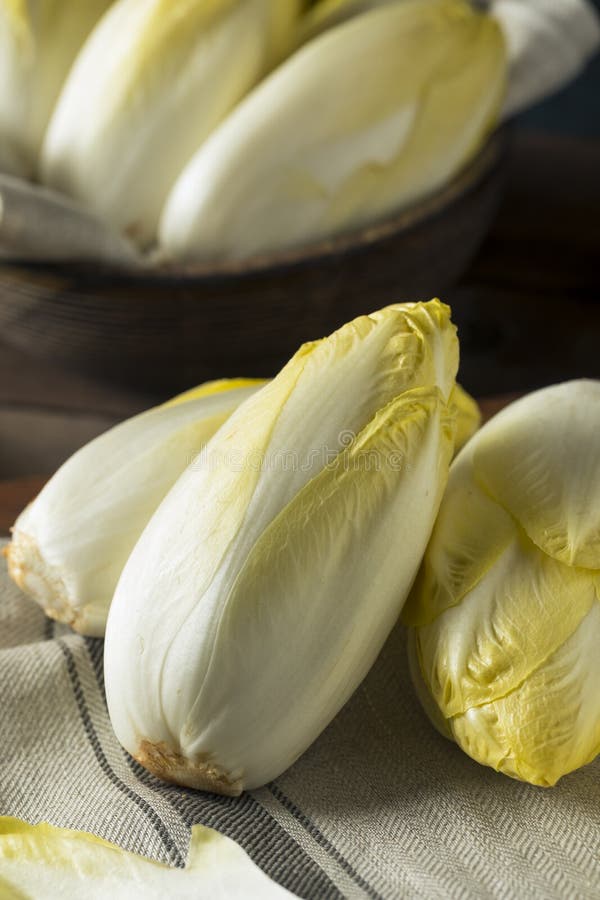 Raw Organic Belgian Endive stock image. Image of endivia - 84934291
