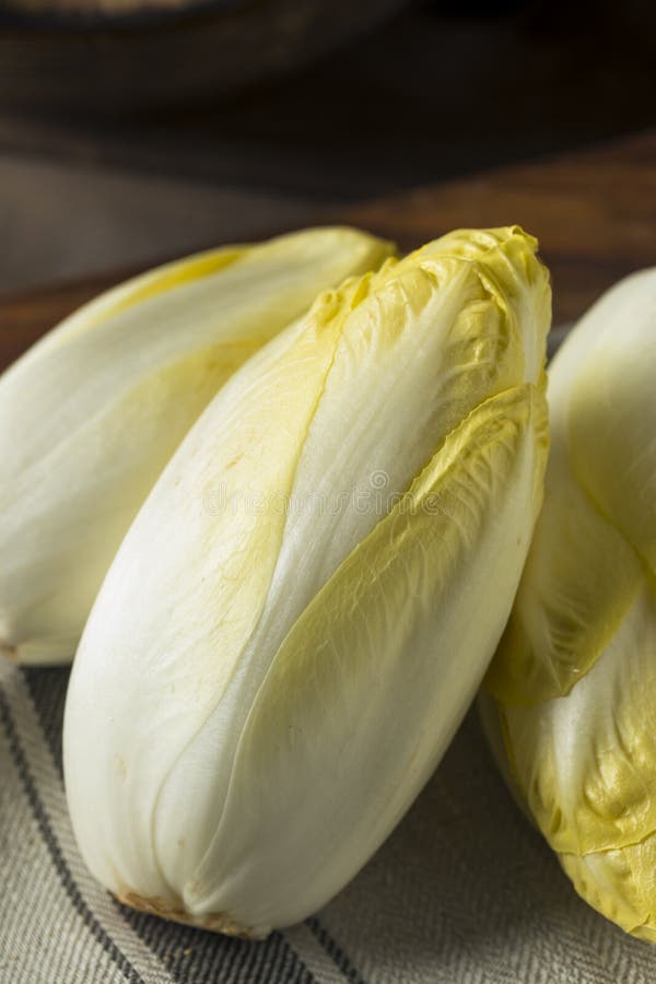 Raw Organic Belgian Endive stock photo. Image of cuisine - 146576394