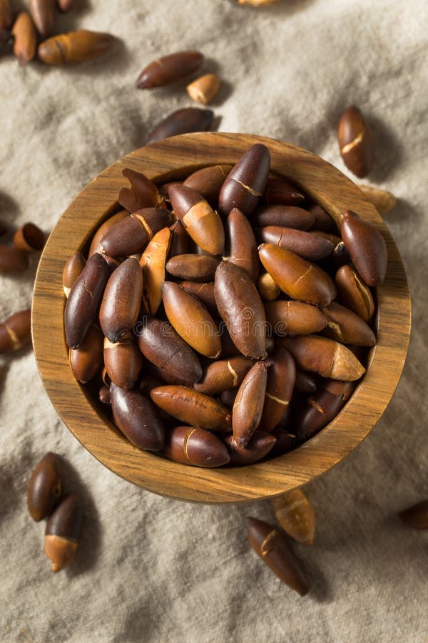 Raw Organic Brown Baru Nuts Stock Image - Image of organic, diet: 213997839