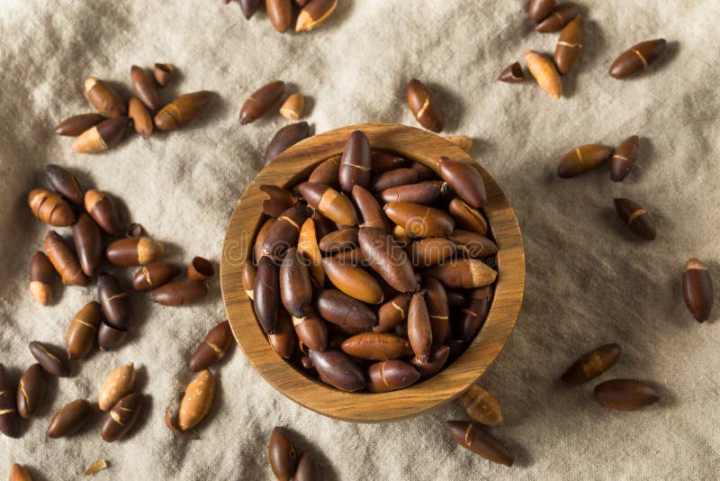 Raw Organic Brown Baru Nuts Stock Photo - Image of brazil, natural ...