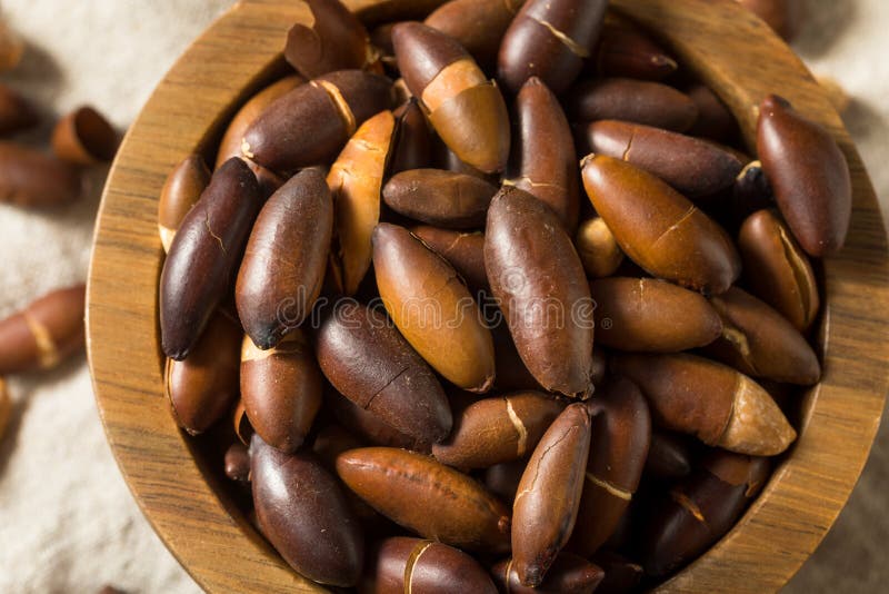 Raw Organic Brown Baru Nuts Stock Image - Image of nature, food: 213997869