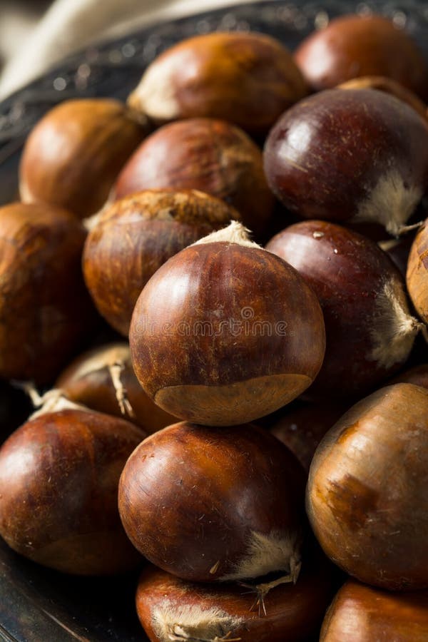 Raw Organic Brown Chestnuts Stock Image - Image of fall, nuts: 165157569