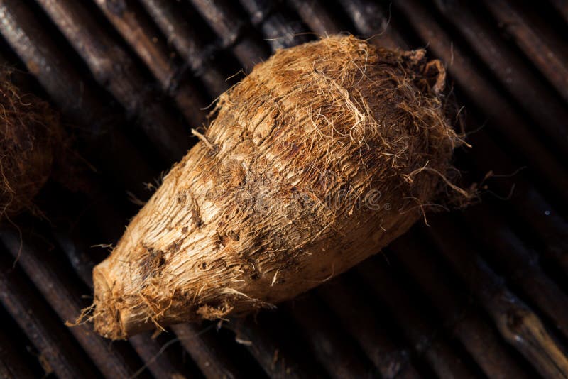 Raw Organic Brown Eddoes stock image. Image of fresh - 73437173