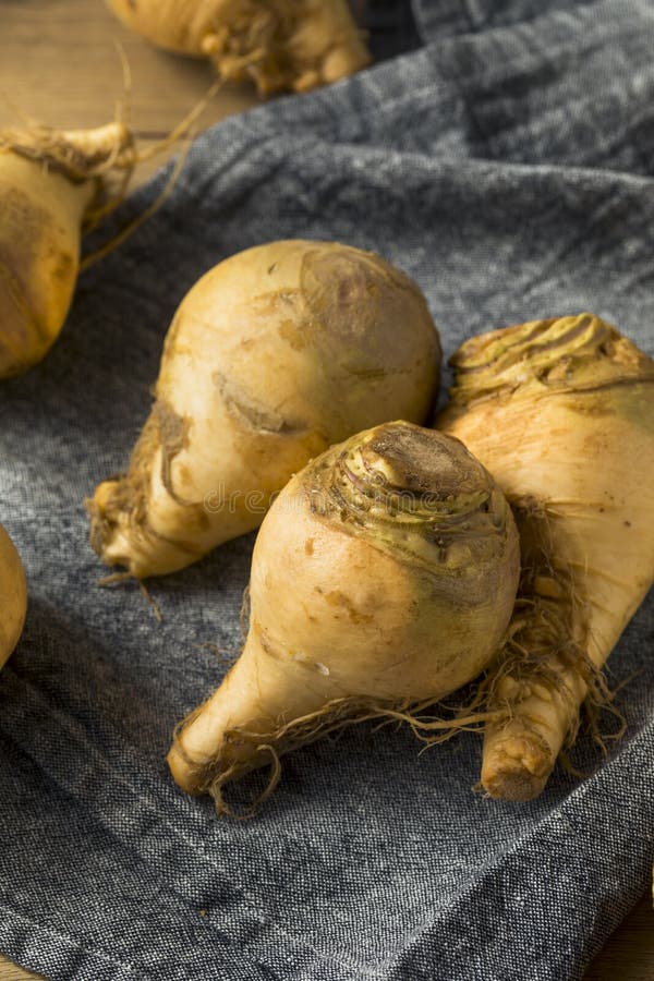 Raw Organic Brown Rutabaga Root Stock Image - Image of stem, harvest ...