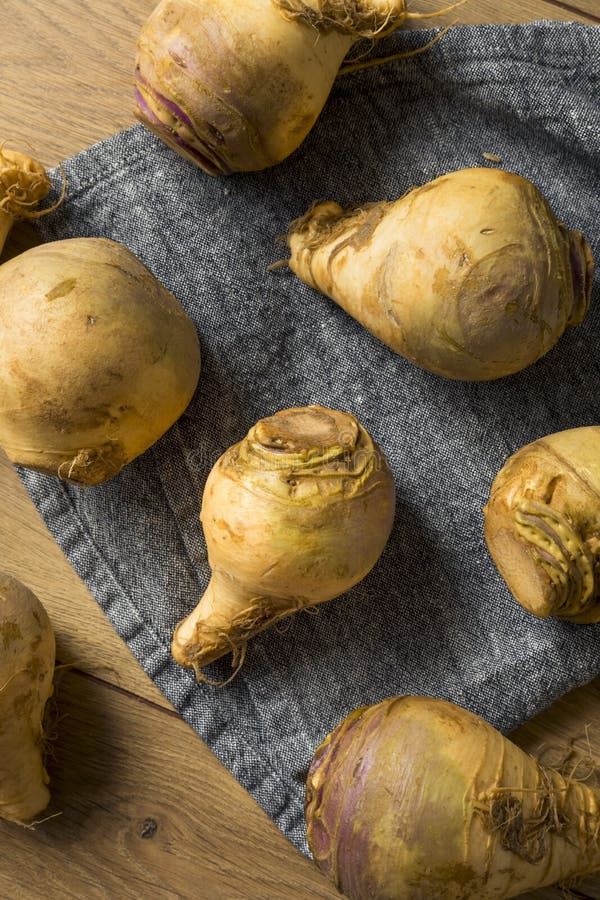 Raw Organic Brown Rutabaga Root Stock Image - Image of ground, neep ...