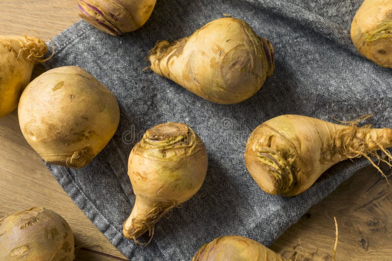 Raw Organic Brown Rutabaga Root Stock Image - Image of plant, root ...