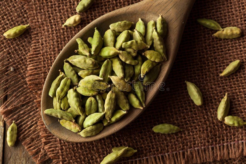 Raw Organic Cardamom Pods stock photo. Image of ingredient - 66537714