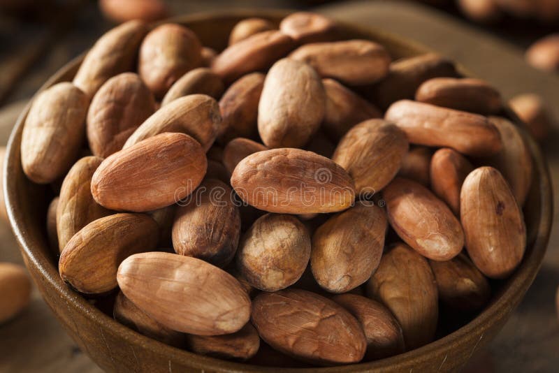 Raw cacao beans stock photo. Image of cocoa, energy, beans - 9894530