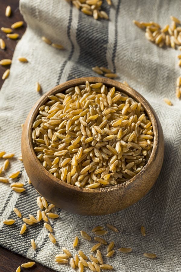 Raw Organic Dry Kamut Berries Grain Stock Photo - Image of spoon, meal ...