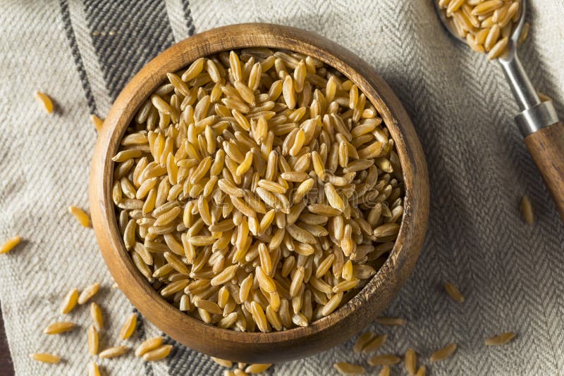 Raw Organic Dry Kamut Berries Grain Stock Photo - Image of spoon ...