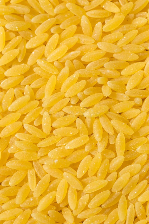 Raw Organic Dry Orzo Pasta stock image. Image of fresh - 221410671