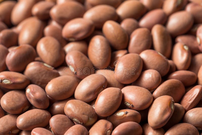 Raw Organic Dry Pink Beans stock image. Image of delicious - 167289191