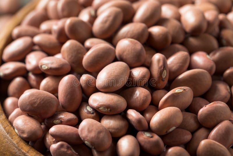 Pink Beans - Healthy Fiber Food Stock Photo - Image of textured ...
