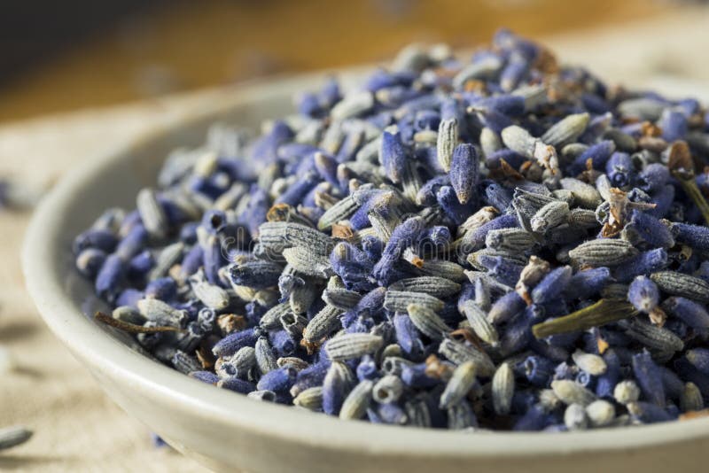 Raw Organic Dry Purple Lavender Spice Stock Image - Image of essential ...