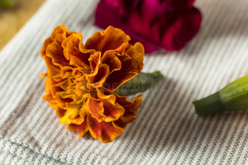 Raw Organic Edible Flowers stock photo. Image of eating - 91423234