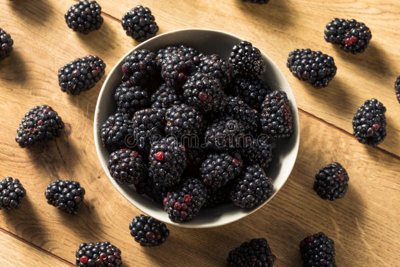 Raw Organic Fresh Blackberries Stock Photo - Image of agriculture ...
