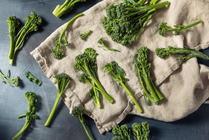 Raw Organic Fresh Broccolini Vegetable Stock Photo - Image of kitchen ...