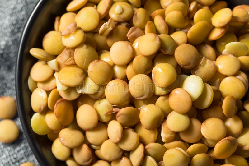 Raw Organic Fresh Lentils stock photo. Image of meal - 140738160