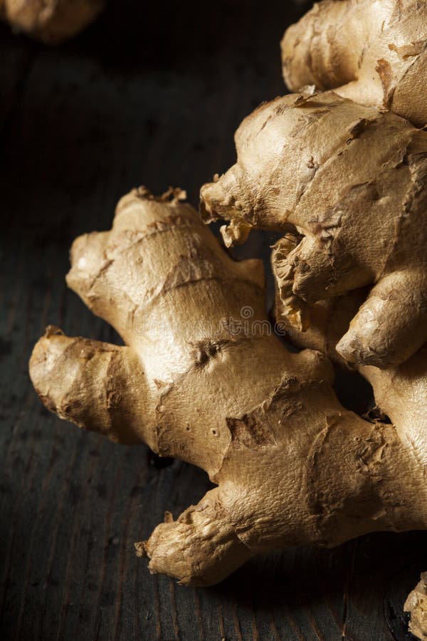 Raw Organic Ginger Root stock image. Image of asian, medicine - 44241915