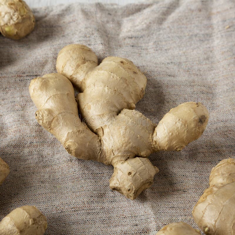 Raw Organic Ginger Root on Cloth, Side View. Close-up Stock Photo ...