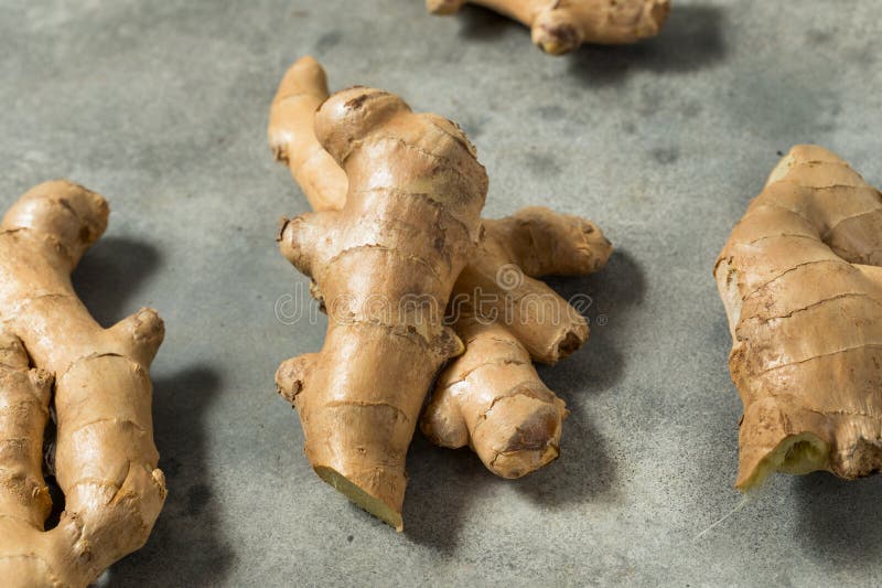 Raw Organic Ginger Root Spice Stock Photo - Image of natural, seasoning ...
