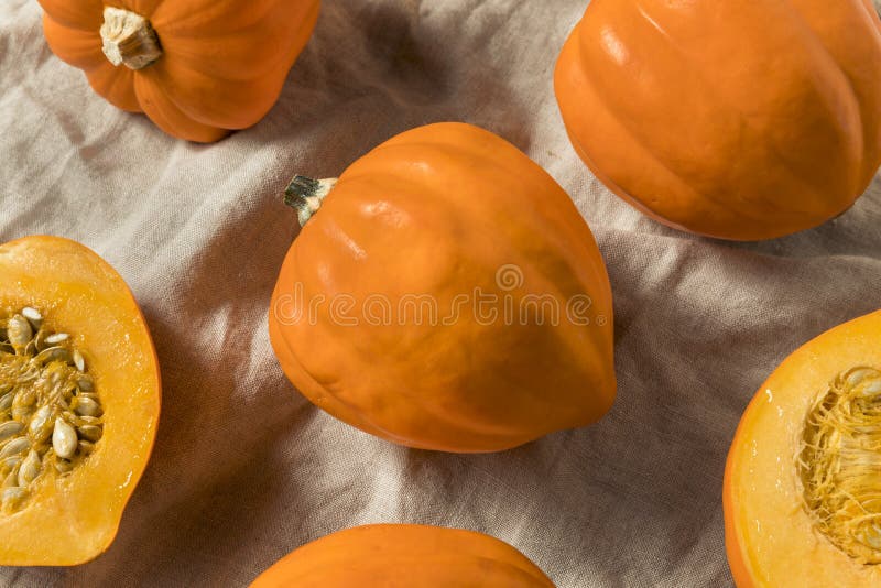 Raw Organic Golden Acorn Squash Stock Image - Image of healthy, pepper ...