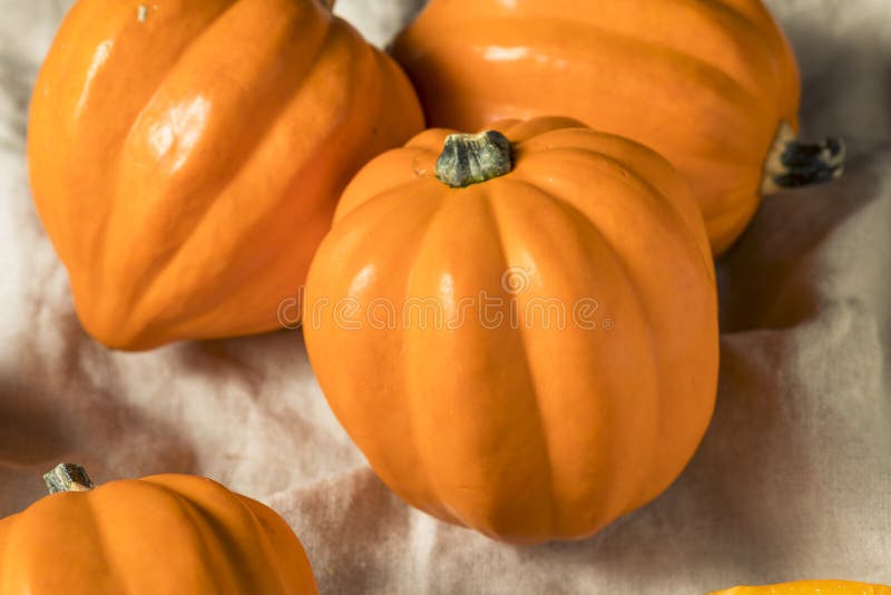 Raw Organic Golden Acorn Squash Stock Image - Image of organic, ripe ...