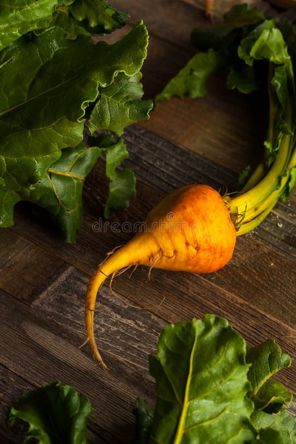 Raw Organic Golden Beets stock photo. Image of ingredient - 67718698