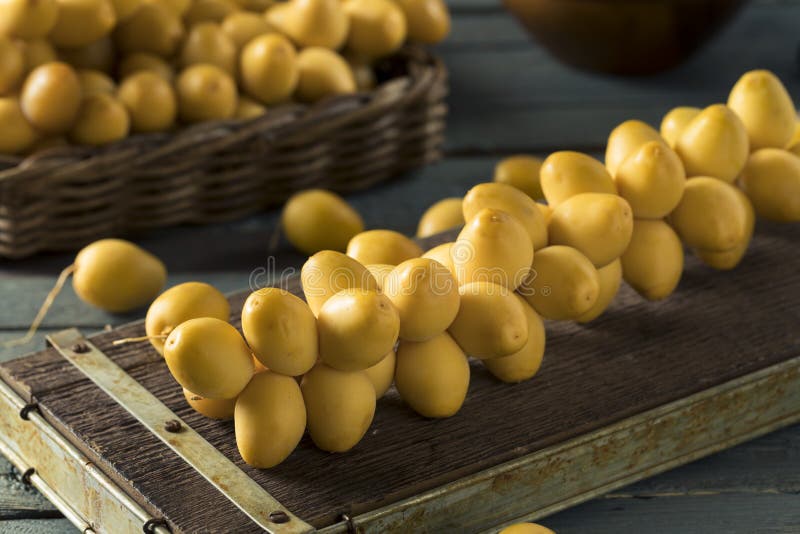 Young Dates and Stalks on Green Paper Stock Image - Image of dates ...