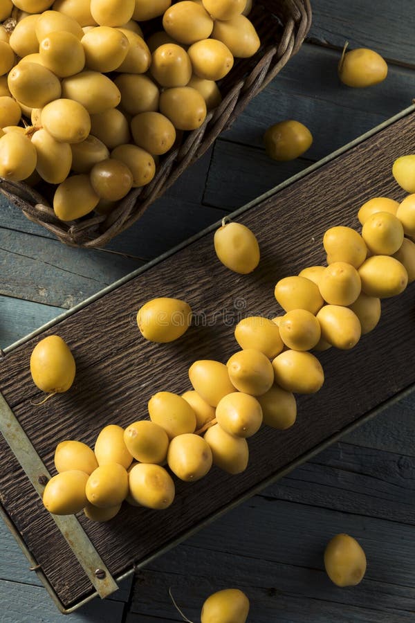 Raw Organic Golden Fresh Young Dates Stock Photo - Image of brown ...