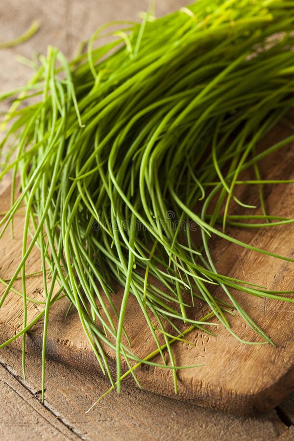Raw Organic Green Chives stock image. Image of natural - 50196433