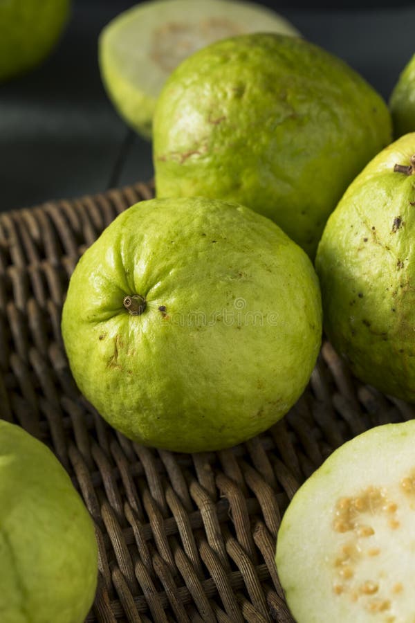 Raw Organic Green Large Guava Stock Photo - Image of guava, fruit: 93119510