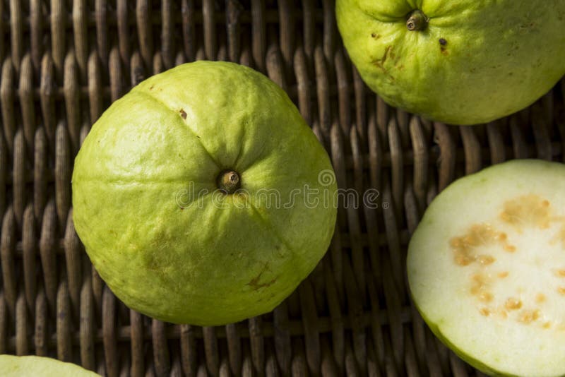 Raw Organic Green Large Guava Stock Photo - Image of evergreen ...