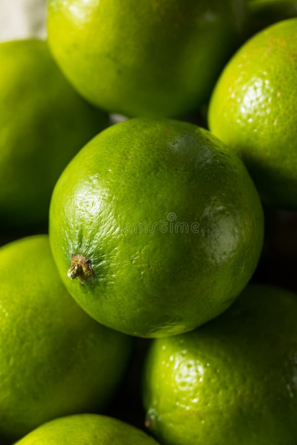 Raw Organic Green Limes stock image. Image of lime, fresh - 183325629