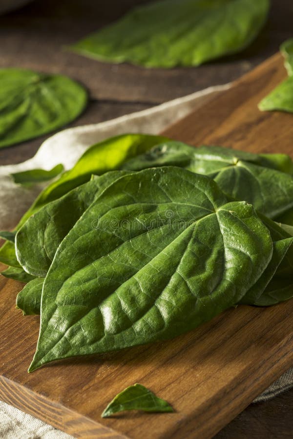 Raw Organic Green Pan Leaves Stock Photo - Image of natural, food: 92267252