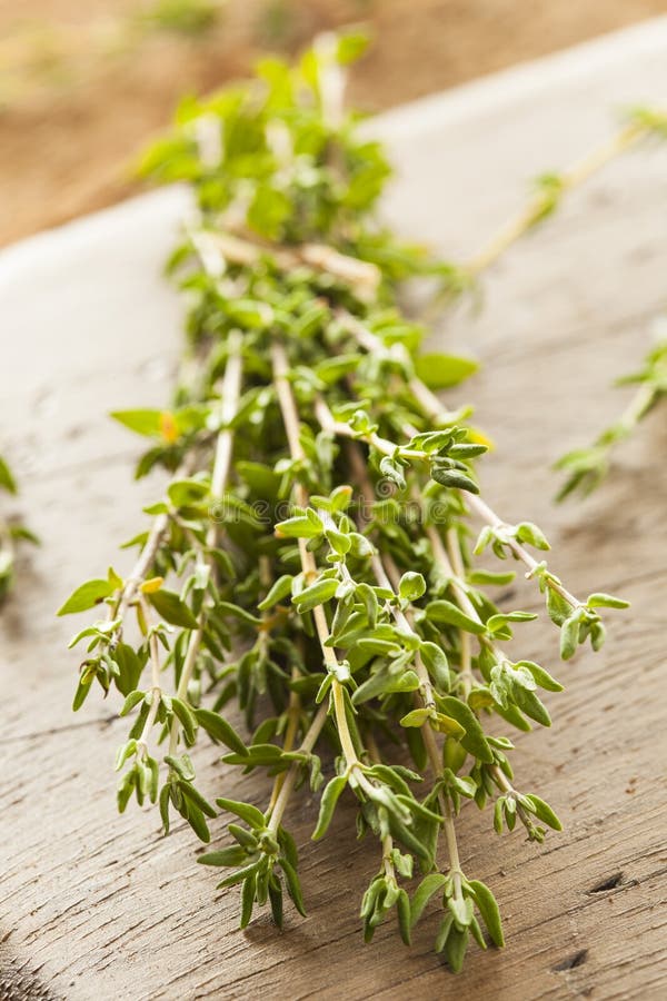 Raw Organic Green Thyme stock photo. Image of ingredient - 43217640
