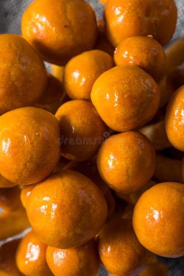 Raw Organic Japanese Nameko Mushrooms Stock Image - Image of edible ...