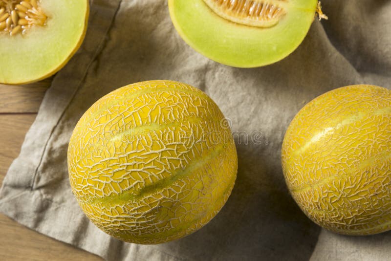 Raw Organic Lemon Drop Melon Stock Image - Image of nutrition, natural ...