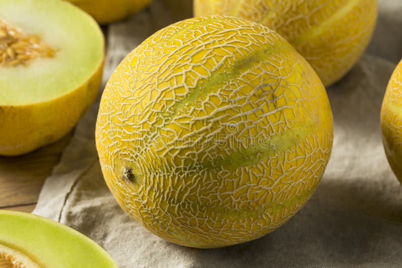 Raw Organic Lemon Drop Melon Stock Photo - Image of melon, honey: 120138992
