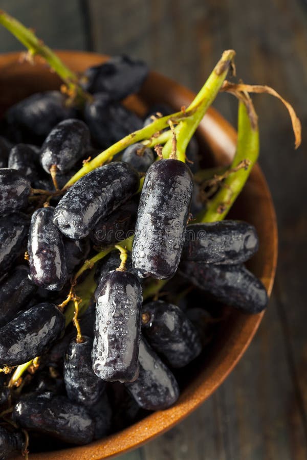 Raw Organic Long Purple Grapes Stock Image - Image of group, food: 76587681