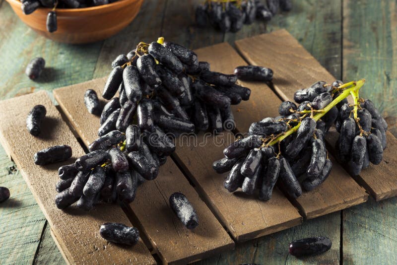 Raw Organic Long Purple Grapes Stock Image - Image of natural ...