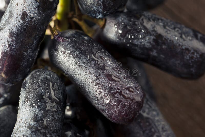 Raw Organic Long Purple Grapes Stock Photo - Image of dessert ...