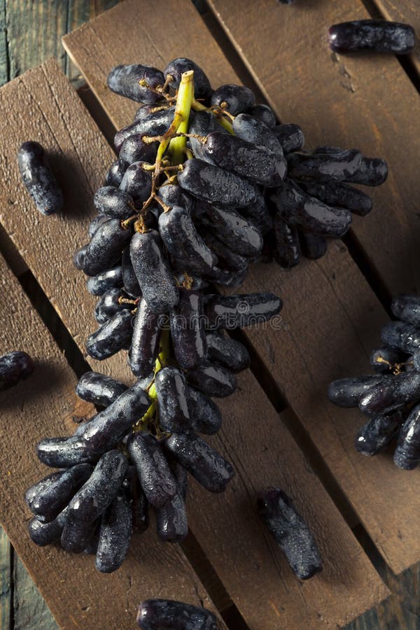 Raw Organic Long Purple Grapes Stock Image - Image of grapes, fresh ...
