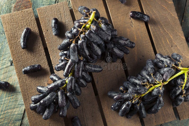 Raw Organic Long Purple Grapes Stock Image - Image of healthy, leaf ...